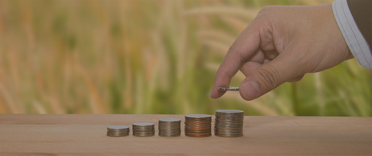 Microfinance Software | Loan Management Solutions - Arttha